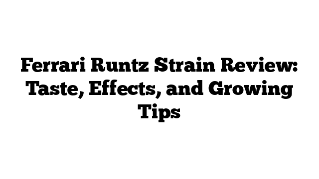 Ferrari Runtz Strain Review: Taste, Effects, and Growing Tips – 420 Big Bud