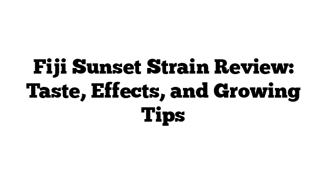 Fiji Sunset Strain Review: Taste, Effects, and Growing Tips – 420 Big Bud