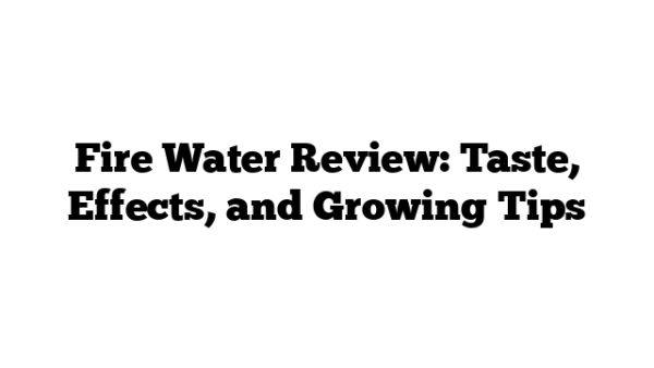 A Comprehensive Review of Fire Water: Taste Profile, Effects, and ...