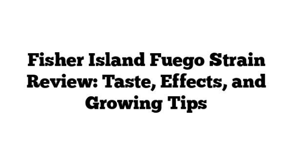 Fisher Island Fuego Strain Review: Taste, Effects, and Growing Tips ...