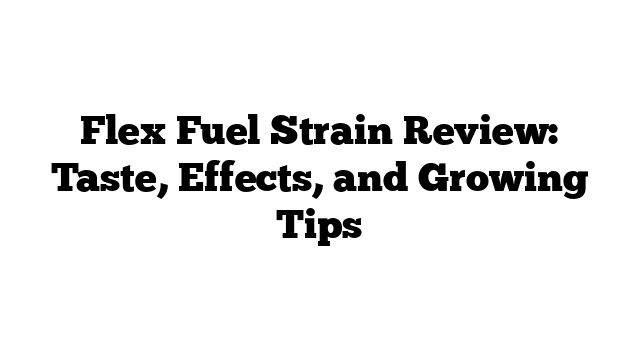 Flex Fuel Strain Review: Taste, Effects, and Growing Tips – 420 Big Bud
