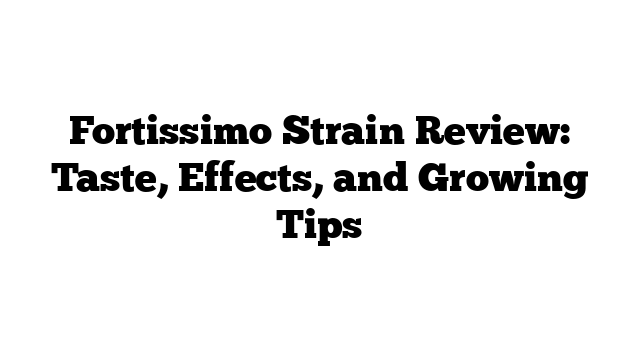 Fortissimo Strain Review: Taste, Effects, and Growing Tips – 420 Big Bud