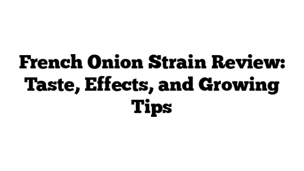 French Onion Strain Review: Taste, Effects, and Growing Tips – 420 Big Bud