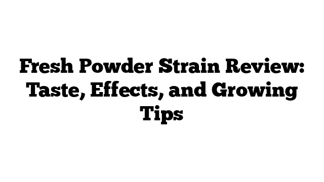 Fresh Powder Strain Review: Taste, Effects, and Growing Tips – 420 Big Bud