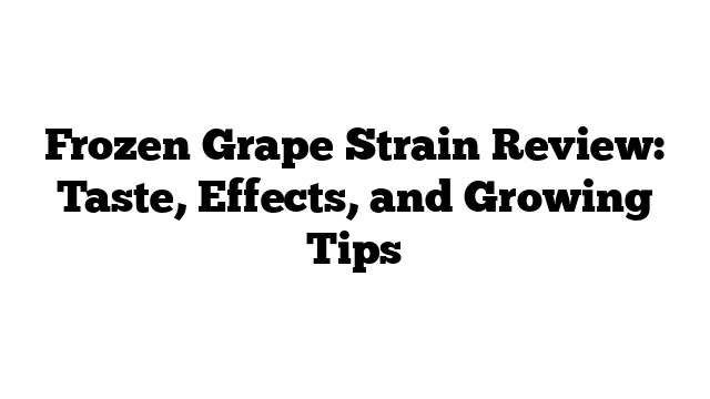 Frozen Grape Strain Review: Taste, Effects, and Growing Tips – 420 Big Bud