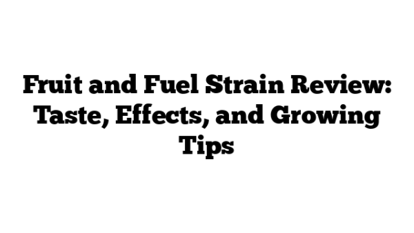 Fruit and Fuel Strain Review: Taste, Effects, and Growing Tips – 420BB ...