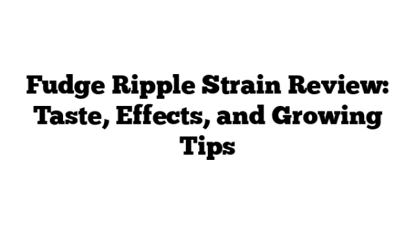 Fudge Ripple Strain Review: Taste, Effects, and Growing Tips – 420BB ...