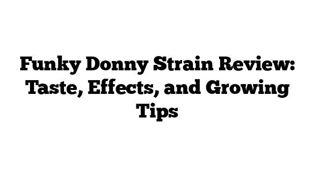 Funky Donny Strain Review: Taste, Effects, and Growing Tips – 420 Big Bud