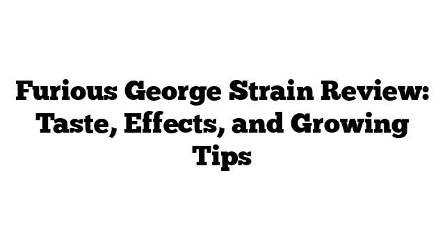 Furious George Strain Review: Taste, Effects, and Growing Tips – 420 ...