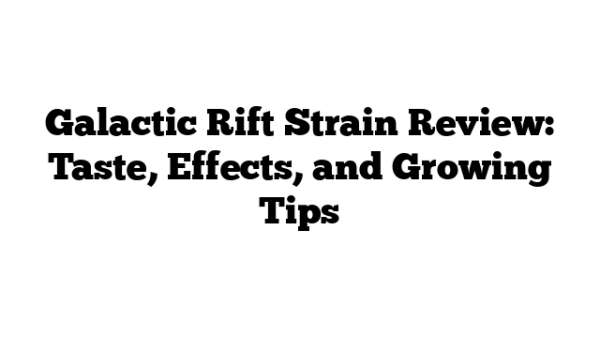 Galactic Rift Strain Review: Taste, Effects, and Growing Tips – 420BB ...