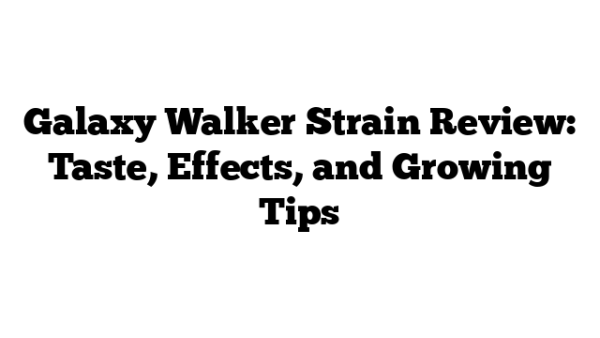 Galaxy Walker Strain Review: Taste, Effects, and Growing Tips – 420 Big Bud