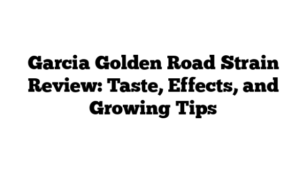 Garcia Golden Road Strain Review: Taste, Effects, and Growing Tips ...