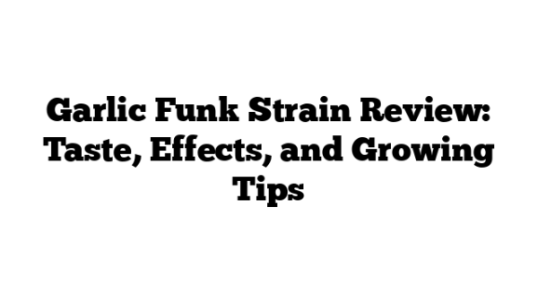Garlic Funk Strain Review: Taste, Effects, and Growing Tips – 420 Big Bud