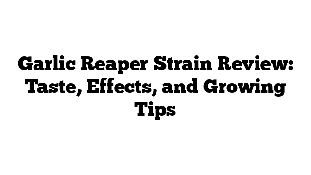 Garlic Reaper Strain Review: Taste, Effects, and Growing Tips – 420 Big Bud