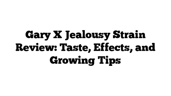 Gary Payton x Jealousy Strain Review: Taste, Effects, and Growing Tips ...