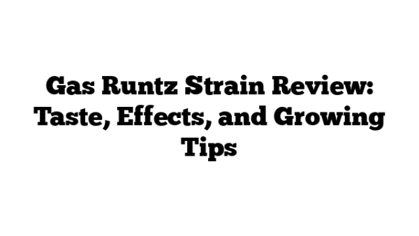 Gas Runtz Strain Review: Taste, Effects, and Growing Tips – 420BB ...