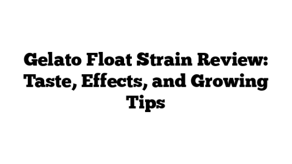 Gelato Float Strain Review: Taste, Effects, and Growing Tips – 420 Big Bud
