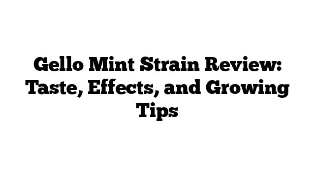 Gello Mint Strain Review: Taste, Effects, and Growing Tips – 420 Big Bud