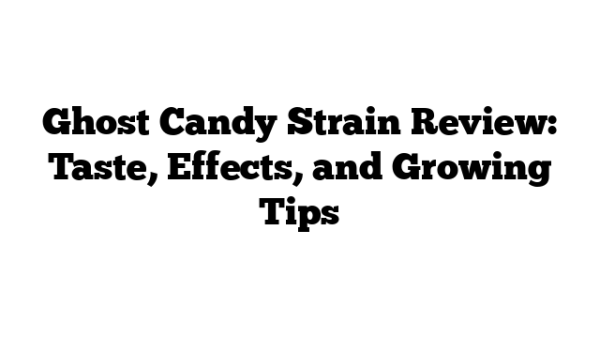 Ghost Candy Strain Review: Taste, Effects, and Growing Tips – 420 Big Bud