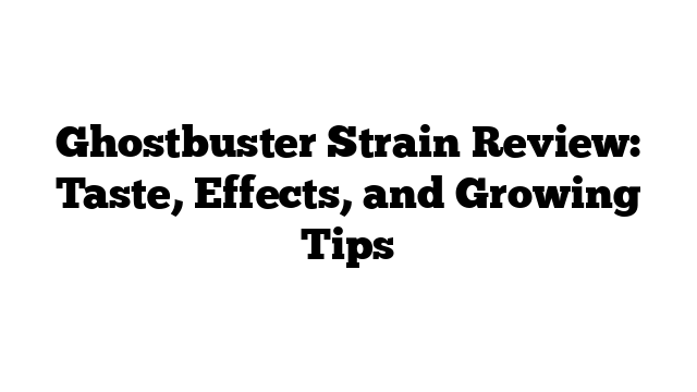 Ghostbuster Strain Review: Taste, Effects, and Growing Tips – 420BB: Premium Pipes & Bongs