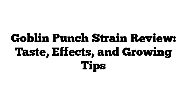 Goblin Punch Strain Review: Taste, Effects, and Growing Tips – 420 Big Bud