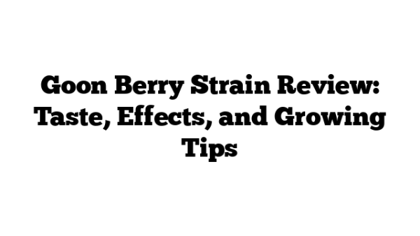 Goon Berry Strain Review: Taste, Effects, and Growing Tips – 420 Big Bud