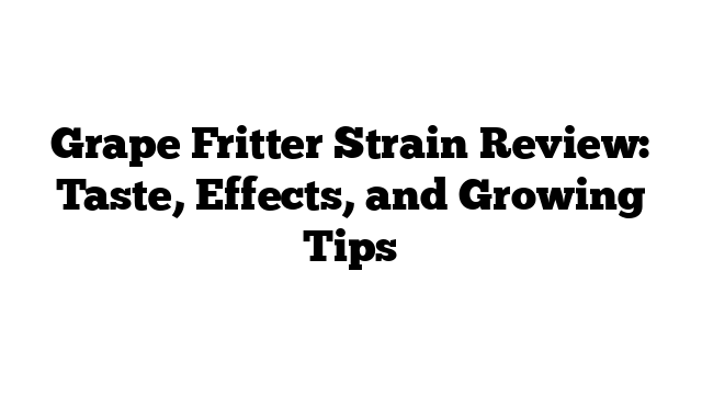 Grape Fritter Strain Review: Taste, Effects, and Growing Tips – 420 Big Bud