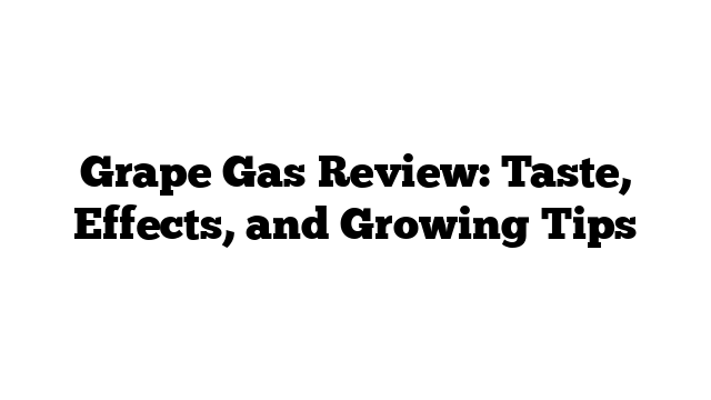 Grape Gas Review: Taste, Effects, and Growing Tips – 420BB: Premium ...