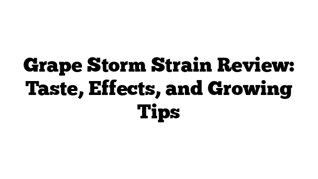 Grape Stomper Strain Review: Taste, Effects, and Growing Tips – 420 Big Bud