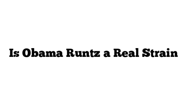 Is Obama Runtz a Real Strain? – 420BB: Premium Pipes & Bongs
