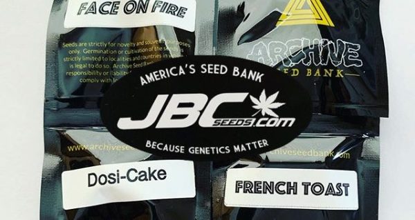 What you need to know about JBC seed bank (James Bean Company) – 420BB ...