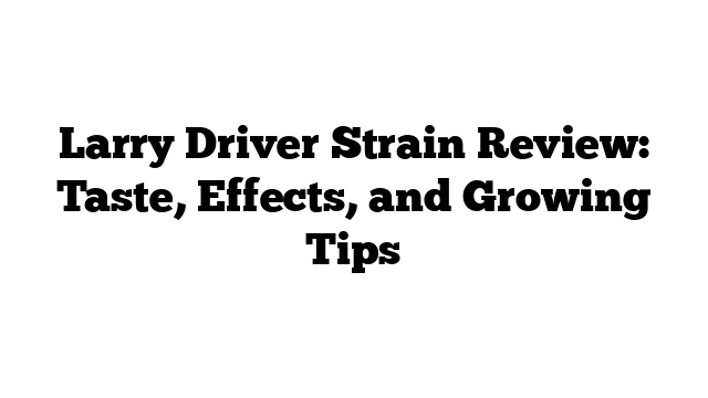 Larry Driver Strain Review: Taste, Effects, and Growing Tips – 420 Big Bud