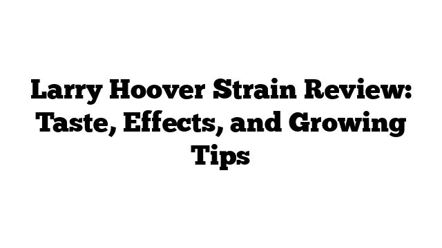 Larry Hoover Strain Review: Taste, Effects, and Growing Tips – 420 Big Bud