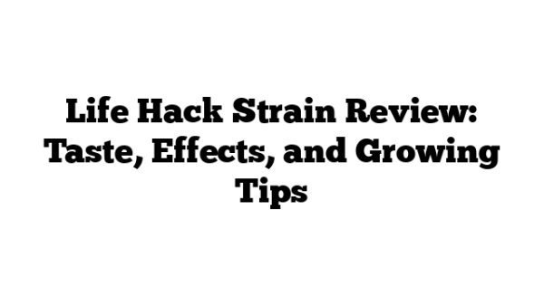Life Hack Strain Review: Taste, Effects, and Growing Tips – 420BB ...