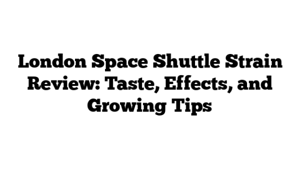 London Space Shuttle Strain Review: Taste, Effects, and Growing Tips ...
