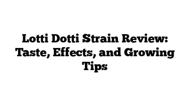 Lotti Dotti Strain Review: Taste, Effects, and Growing Tips – 420 Big Bud
