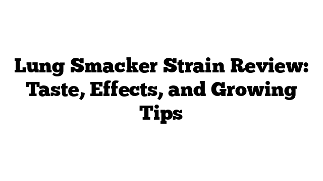 Lung Smacker Strain Review: Taste, Effects, and Growing Tips – 420 Big Bud