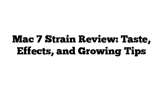 Mac 7 Strain Review: Taste, Effects, and Growing Tips – 420 Big Bud