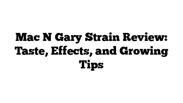 Mac N Gary Strain Review: Taste, Effects, and Growing Tips – 420 Big Bud
