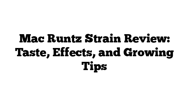 Mac Runtz Strain Review: Taste, Effects, and Growing Tips – 420 Big Bud