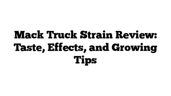 Mack Truck Strain Review: Taste, Effects, and Growing Tips – 420BB: Premium Pipes & Bongs