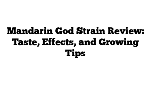 Mandarin God Strain Review: Taste, Effects, and Growing Tips – 420BB ...