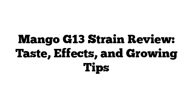 Mango G13 Strain Review: Taste, Effects, and Growing Tips – 420BB ...