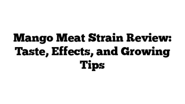 Mango Meat Strain Review: Taste, Effects, and Growing Tips – 420 Big Bud