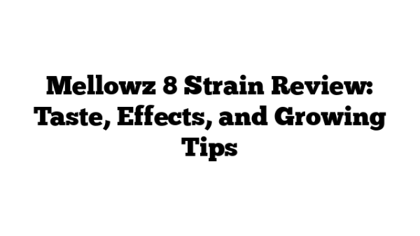 Mellowz #8 Strain Review: Taste, Effects, and Growing Tips – 420 Big Bud