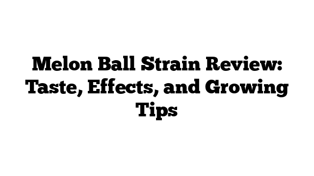 Melon Ball Strain Review: Taste, Effects, and Growing Tips – 420 Big Bud
