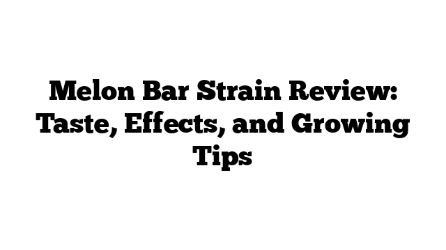 Melon Bar Strain Review: Taste, Effects, and Growing Tips – 420 Big Bud