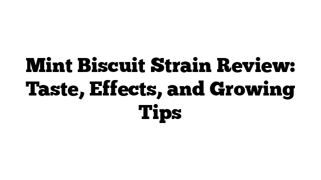 Mint Biscuit Strain Review: Taste, Effects, and Growing Tips – 420BB ...