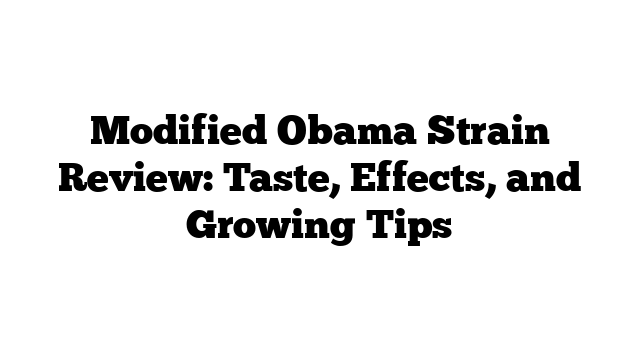 Modified Obama Strain Review: Taste, Effects, and Growing Tips – 420 ...