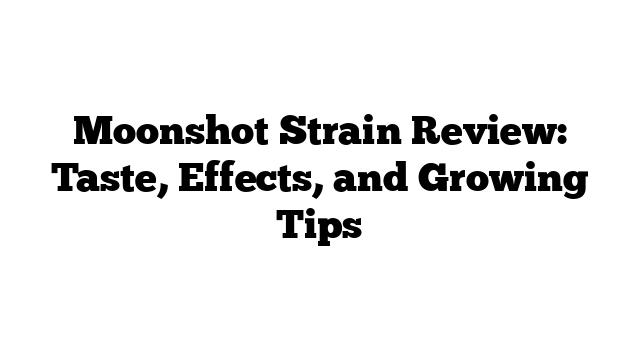 Moonshot Strain Review: Taste, Effects, and Growing Tips – 420 Big Bud